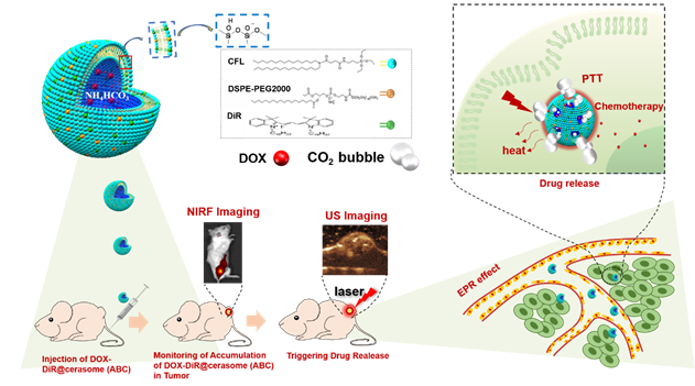 Bubble-Manipulated Local Drug Release from a Smart Thermosensitive ...