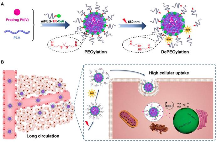On-demand PEGylation and dePEGylation of PLA-based nanocarriers via ...