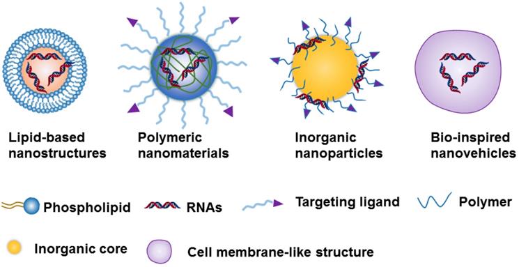 RNA Nanotechnology-Mediated Cancer Immunotherapy