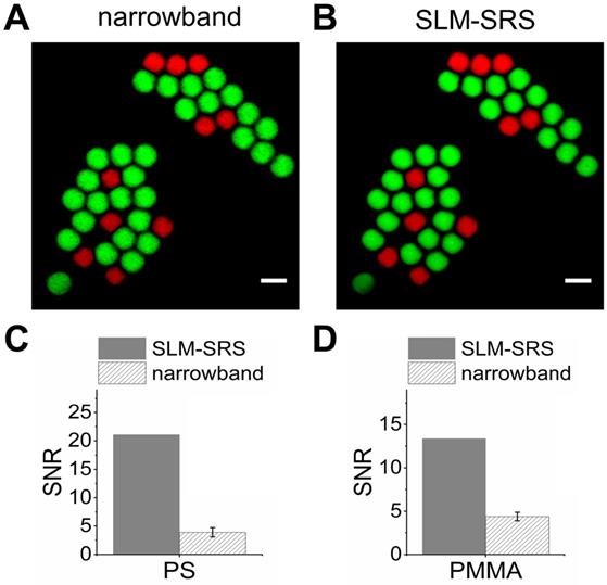 Spatial light-modulated stimulated Raman scattering (SLM-SRS ...