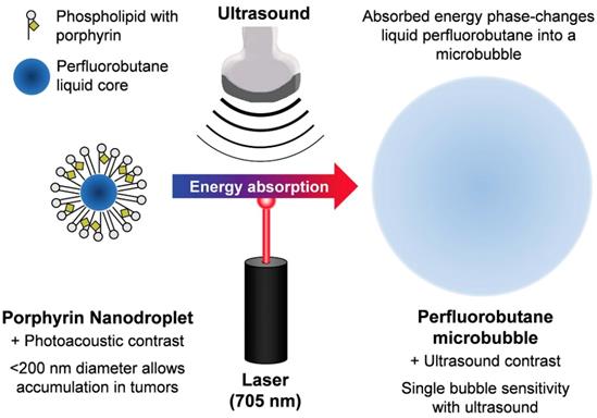 Micro/nano-bubble-assisted ultrasound to enhance the EPR effect and ...
