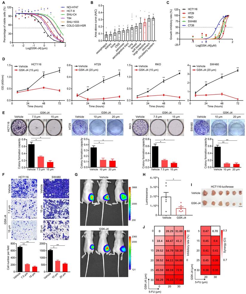Targeted inhibition of KDM6 histone demethylases eradicates tumor ...