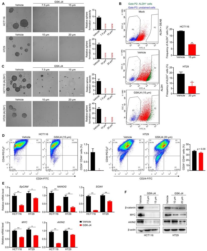 Targeted inhibition of KDM6 histone demethylases eradicates tumor ...