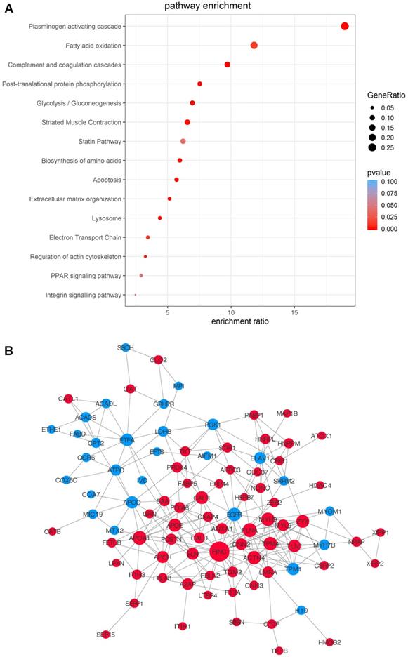 Analysis of mesenchymal stem cell proteomes in situ in the ischemic heart