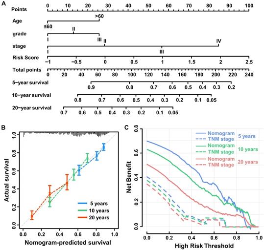 An immune cell infiltration-based immune score model predicts prognosis ...