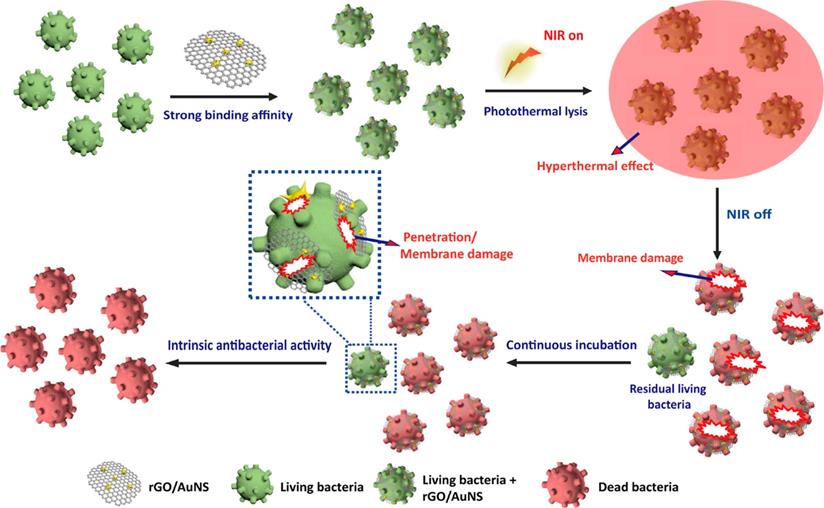 Phototherapy-based combination strategies for bacterial infection treatment
