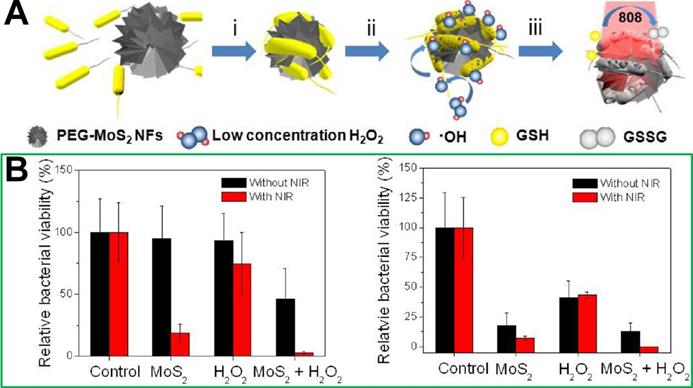 Phototherapy-based combination strategies for bacterial infection treatment