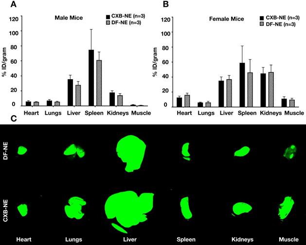 Sex Differences Revealed in a Mouse CFA Inflammation Model with ...