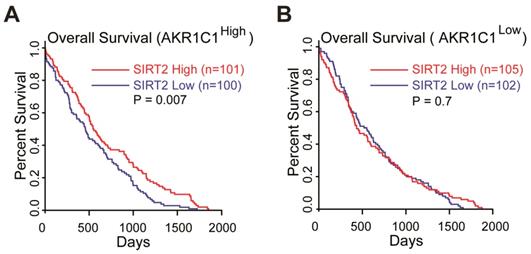 The SIRT2-mediated deacetylation of AKR1C1 is required for suppressing ...