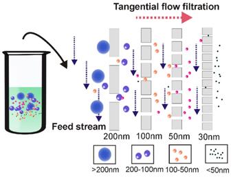 Progress, opportunity, and perspective on exosome isolation - efforts ...