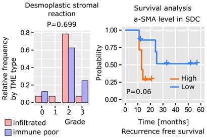 The molecular landscape and microenvironment of salivary duct carcinoma ...