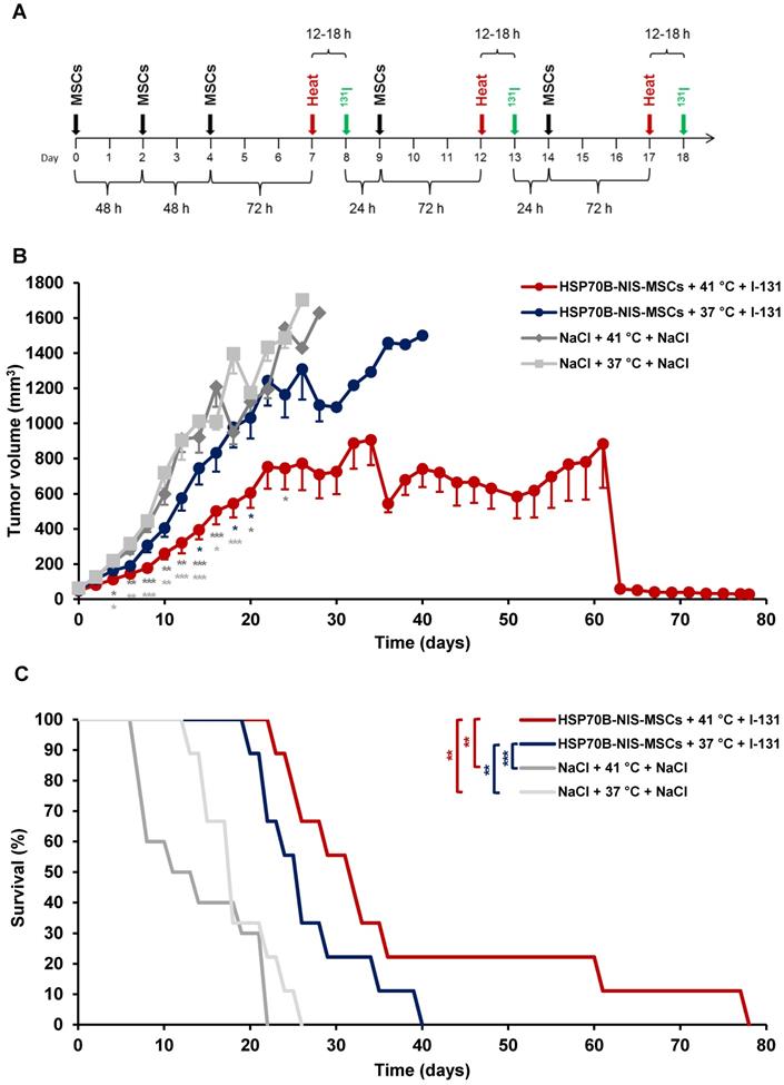 Effective control of tumor growth through spatial and temporal control ...