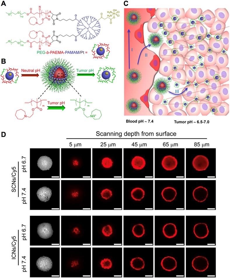 Stimuli-responsive nanocarriers for drug delivery, tumor imaging, therapy and theranostics