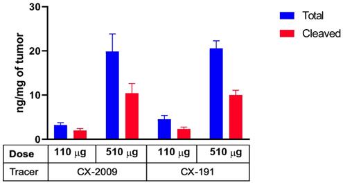 The tumor targeting performance of anti-CD166 Probody drug conjugate CX ...