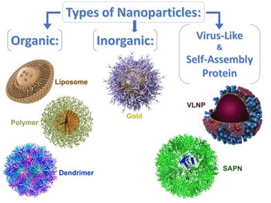 Optimizing use of theranostic nanoparticles as a life-saving strategy ...