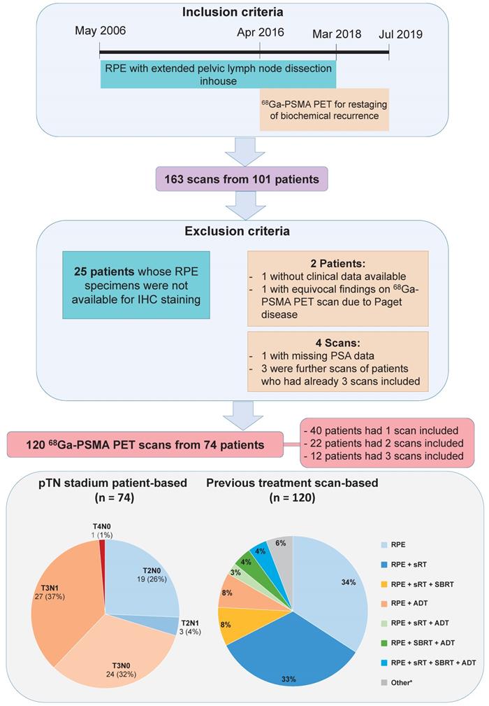 Immunohistochemical PSMA expression patterns of primary prostate cancer ...