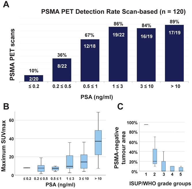Immunohistochemical PSMA expression patterns of primary prostate cancer ...