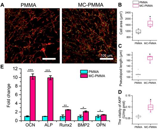Bioactive poly (methyl methacrylate) bone cement for the treatment of ...