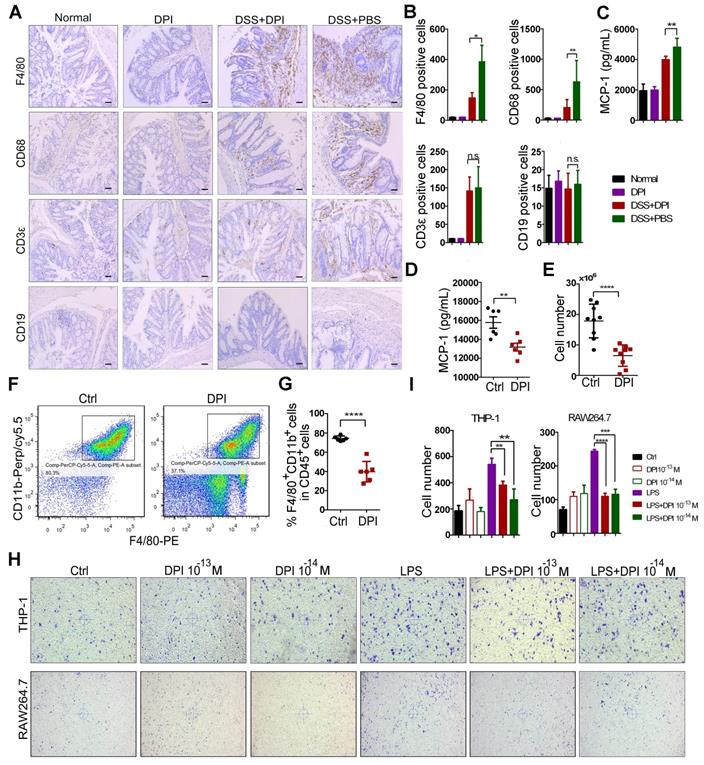 An ultralow dose of the NADPH oxidase inhibitor diphenyleneiodonium ...