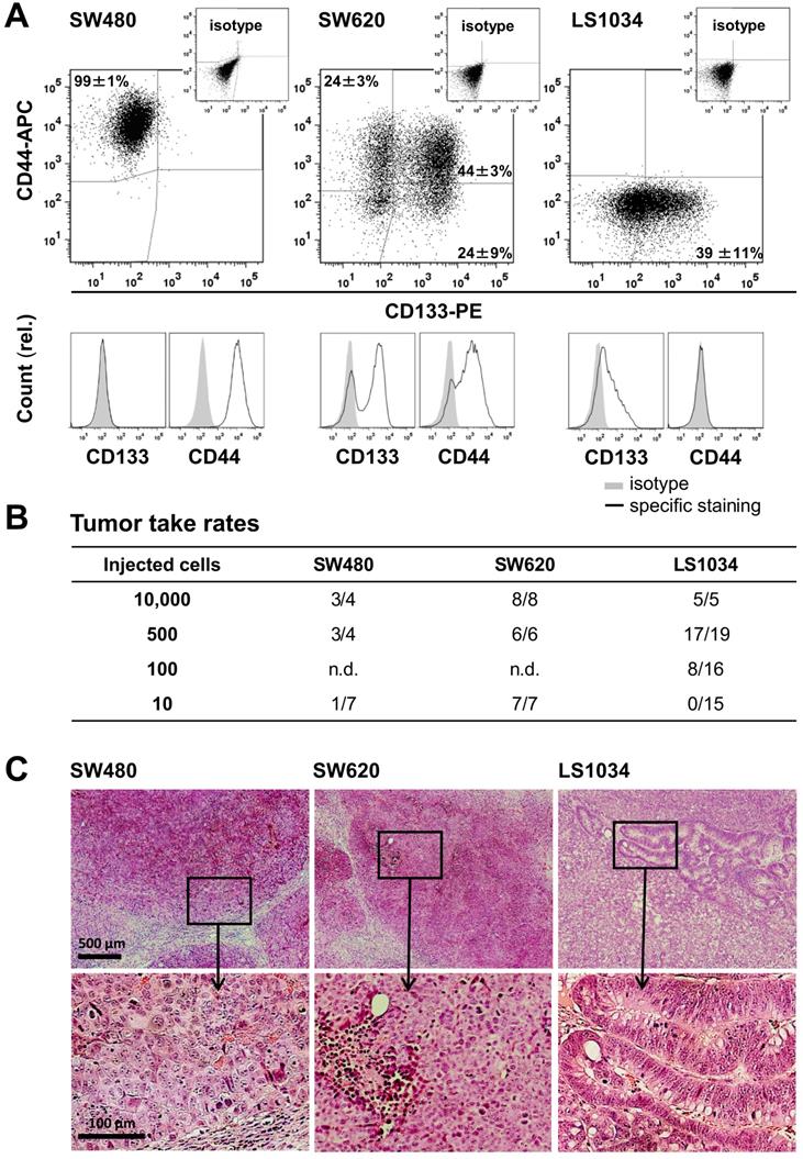 Microenvironmentally-driven Plasticity of CD44 isoform expression ...