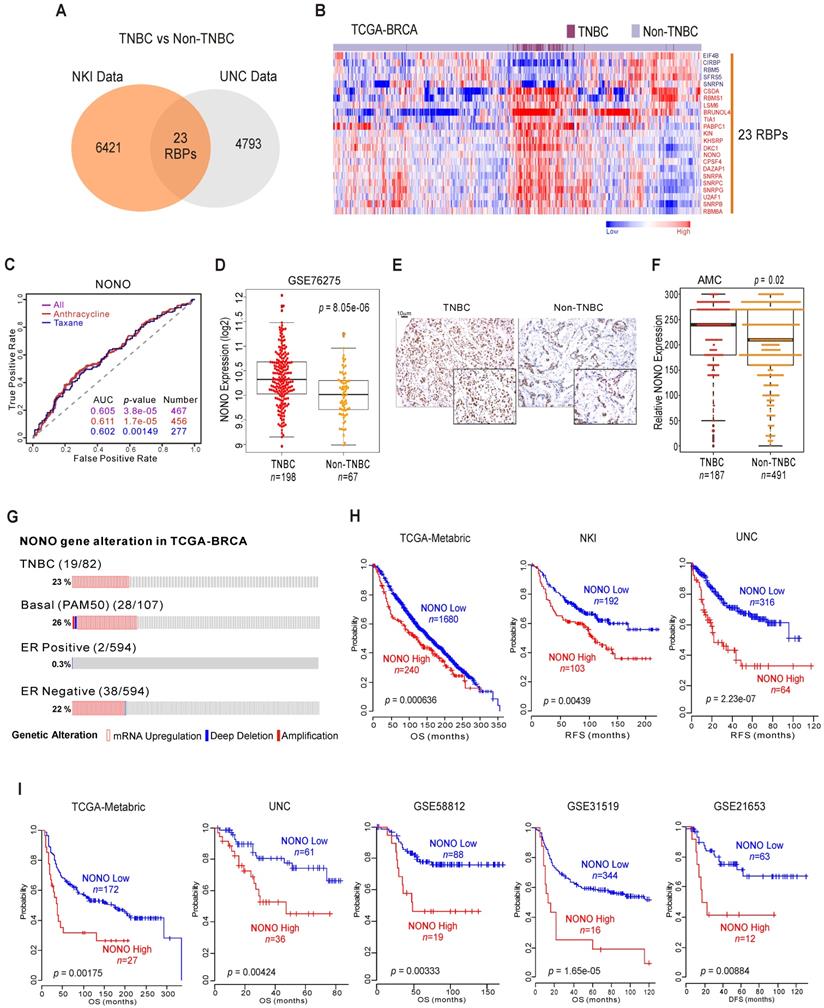RNA-binding protein NONO contributes to cancer cell growth and confers ...