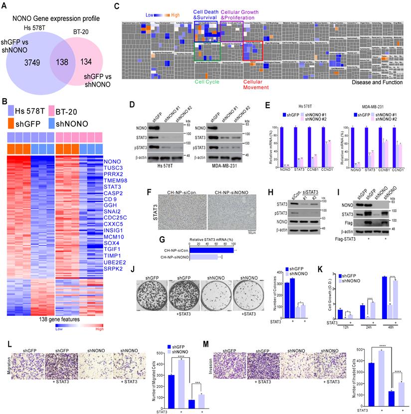 RNA-binding protein NONO contributes to cancer cell growth and confers ...