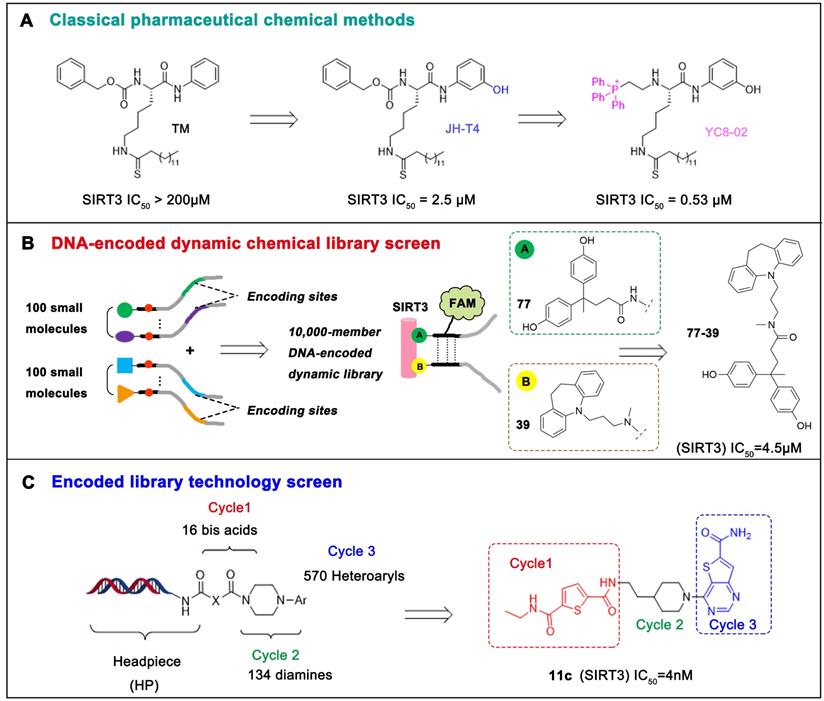Mitochondrial Sirtuin 3: New emerging biological function and ...