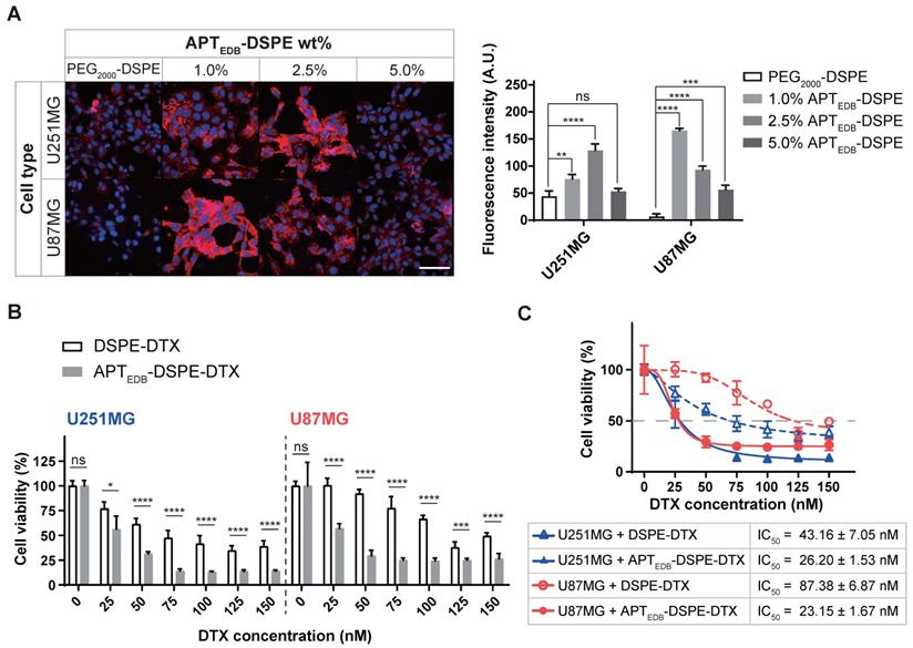 Extra-domain B of fibronectin as an alternative target for drug ...