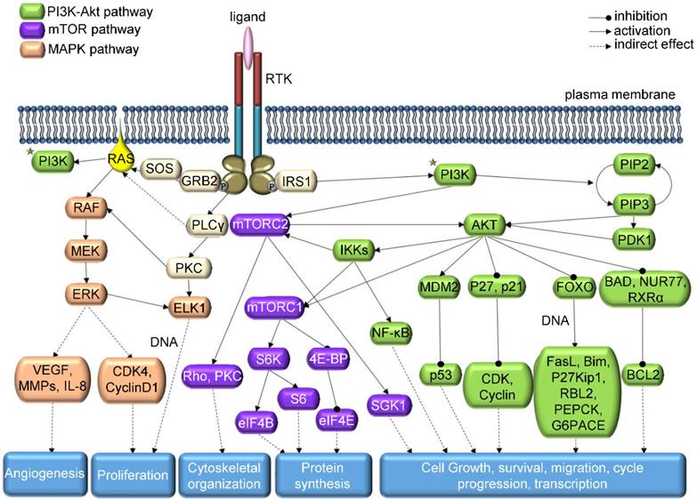 Nanomedicine of tyrosine kinase inhibitors