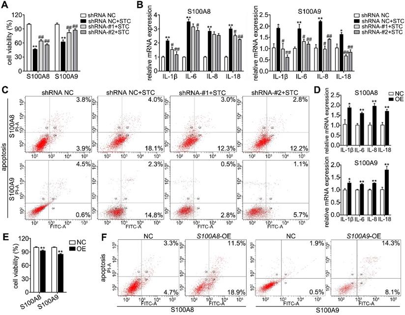 Pancreatic ductal deletion of S100A9 alleviates acute pancreatitis by ...