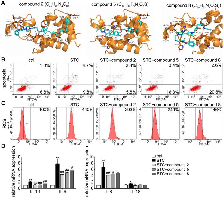 Pancreatic ductal deletion of S100A9 alleviates acute pancreatitis by ...