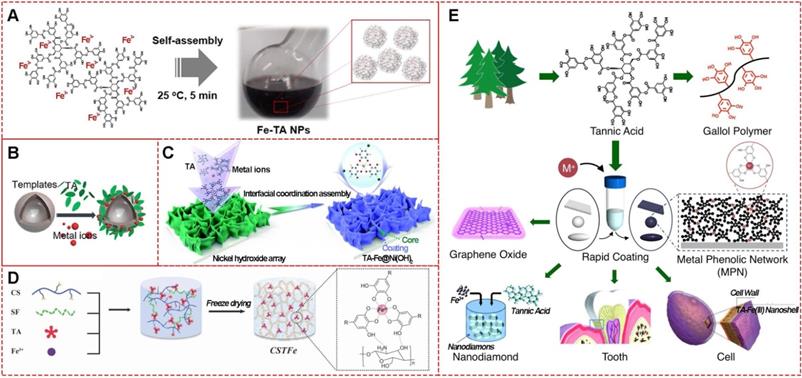 Metal-phenolic networks: facile assembled complexes for cancer theranostics