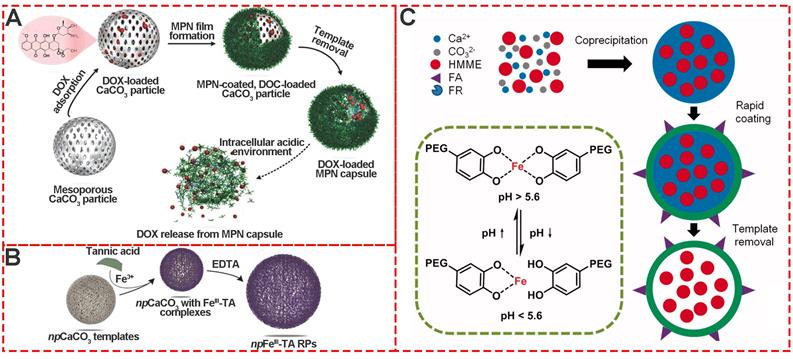 Metal-phenolic networks: facile assembled complexes for cancer theranostics