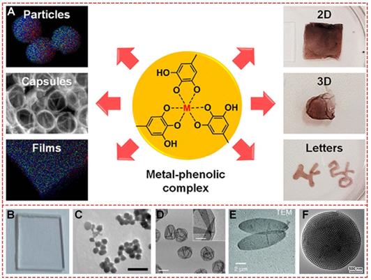 Metal-phenolic networks: facile assembled complexes for cancer theranostics