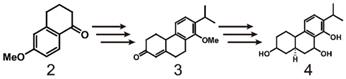 Triptolide: pharmacological spectrum, biosynthesis, chemical synthesis ...