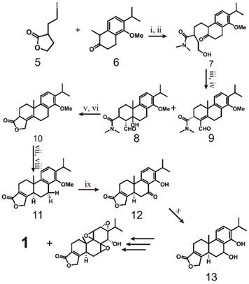 Triptolide: pharmacological spectrum, biosynthesis, chemical synthesis ...