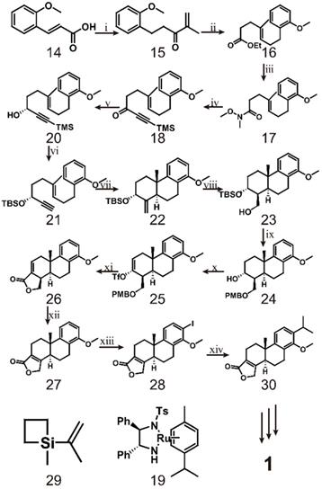 Triptolide: pharmacological spectrum, biosynthesis, chemical synthesis ...