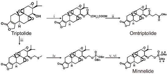 Triptolide: pharmacological spectrum, biosynthesis, chemical synthesis ...