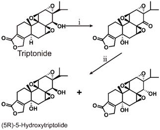 Triptolide: pharmacological spectrum, biosynthesis, chemical synthesis ...
