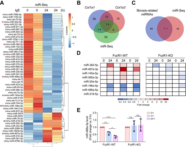 Elevated IgE promotes cardiac fibrosis by suppressing miR-486a-5p