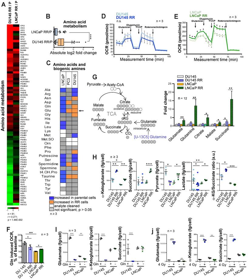 GLS-driven glutamine catabolism contributes to prostate cancer ...