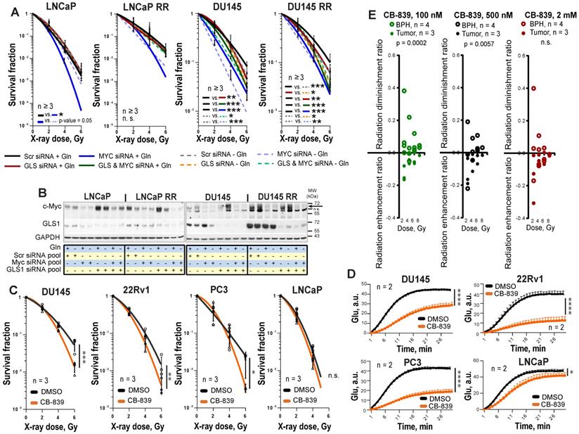 GLS-driven glutamine catabolism contributes to prostate cancer ...