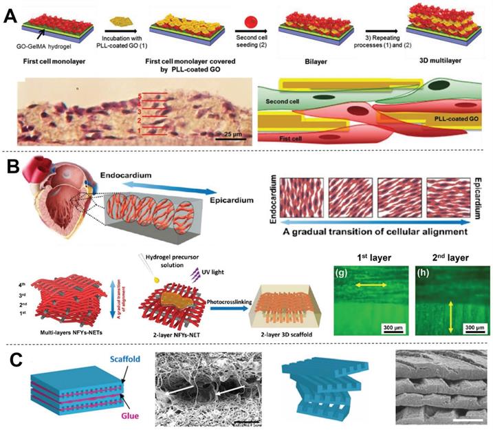3D bioprinting in cardiac tissue engineering