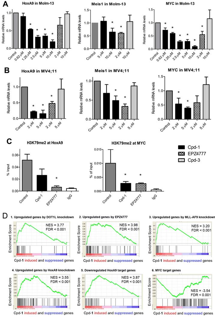 Small-molecule inhibitor of AF9/ENL-DOT1L/AF4/AFF4 interactions ...