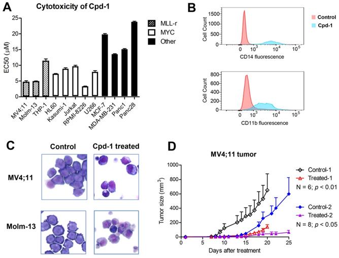 Small-molecule inhibitor of AF9/ENL-DOT1L/AF4/AFF4 interactions ...