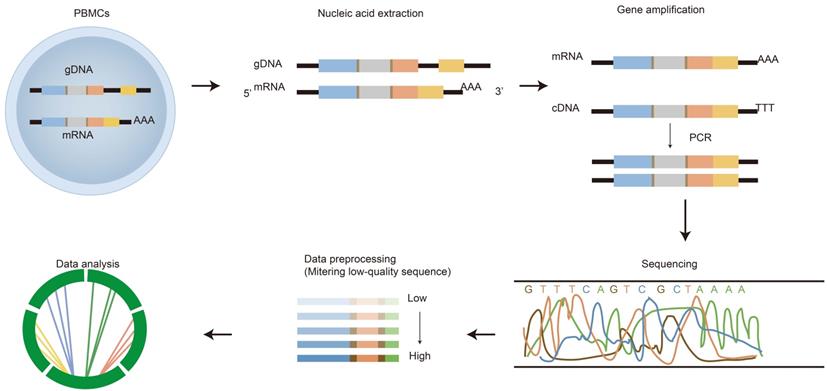 The methods and advances of adaptive immune receptors repertoire sequencing