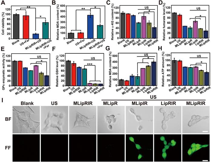 Ultrasound (US)-activated redox dyshomeostasis therapy reinforced by ...