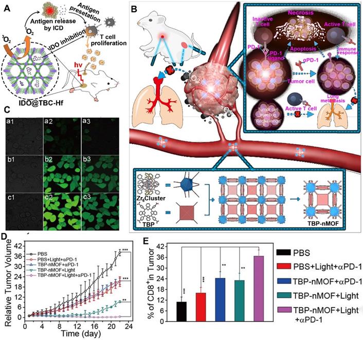 Recent advances in nanomedicines for photodynamic therapy (PDT)-driven ...
