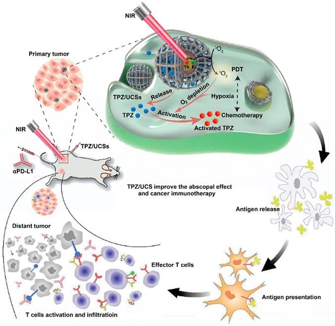 Recent advances in nanomedicines for photodynamic therapy (PDT)-driven ...