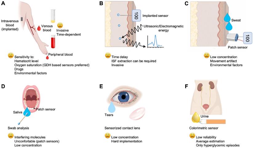 Glucose biosensors in clinical practice: principles, limits and ...